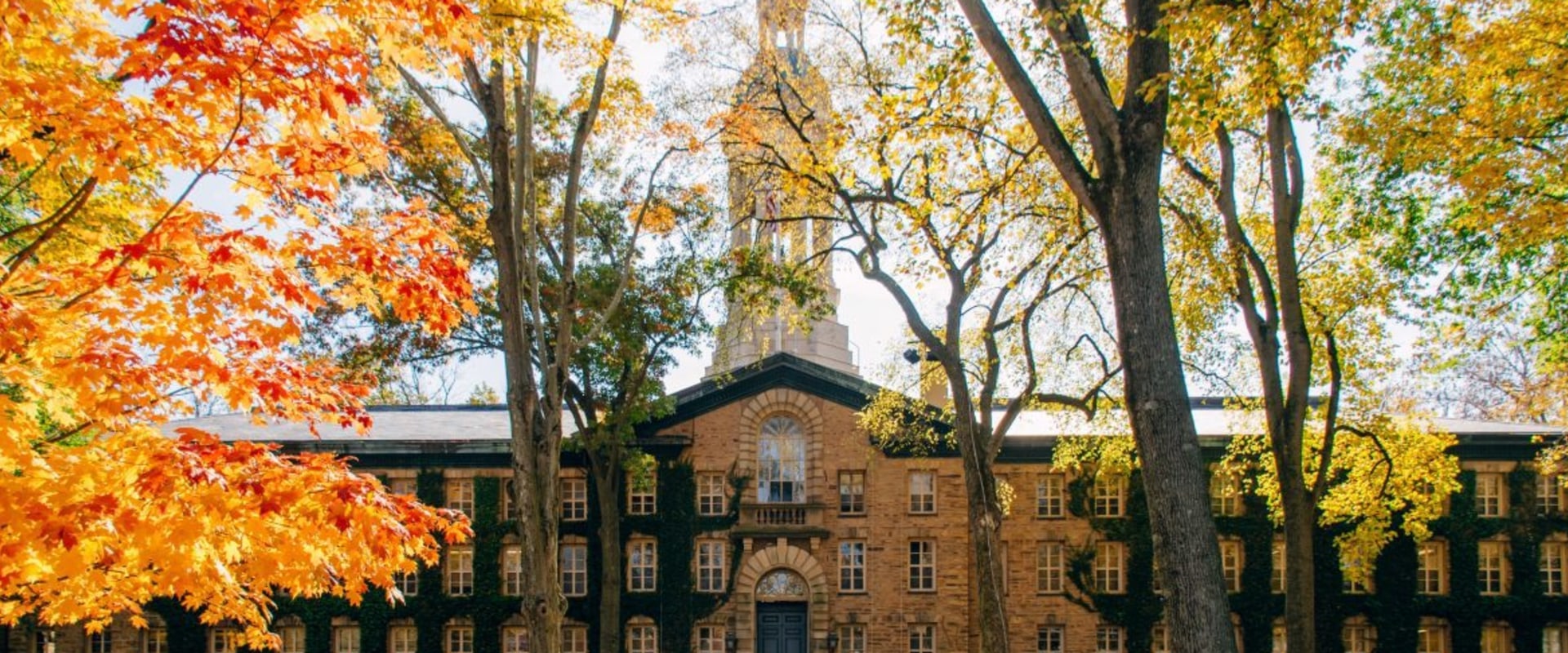 Exploring the Princeton Shopping Center
